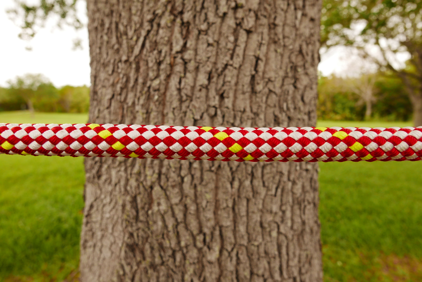 Heavy-Duty Arborist Rigging Ropes for Work | ArboSpace
